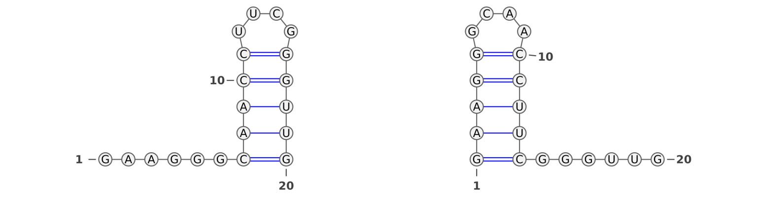 Automl Rethinking Performance Measures Of Rna Secondary Structure Problems
